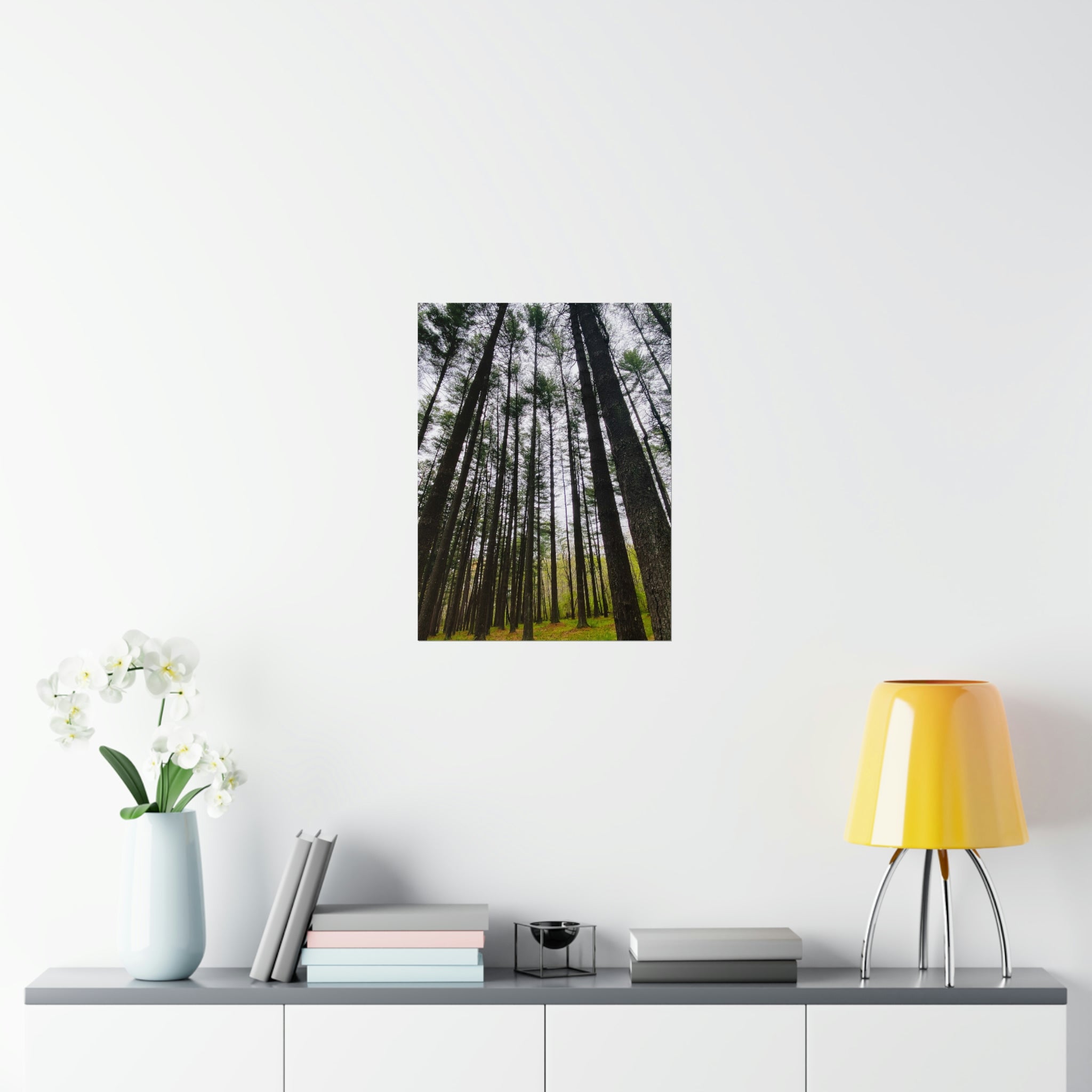 Lost in the Trees Premium Matte Poster, Nature Photography – Random ...